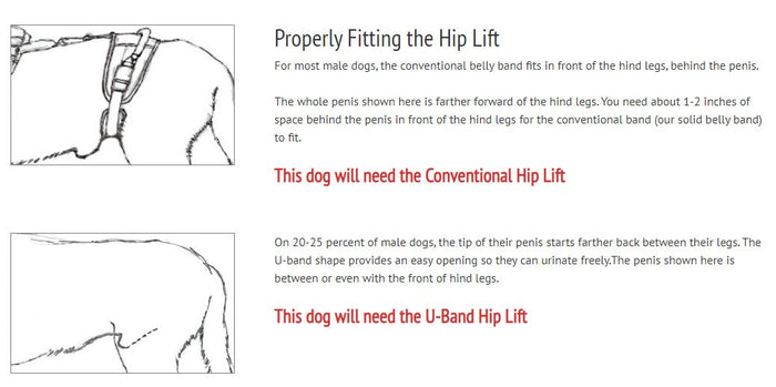 Help'em Up Harness · The Classic Pooch